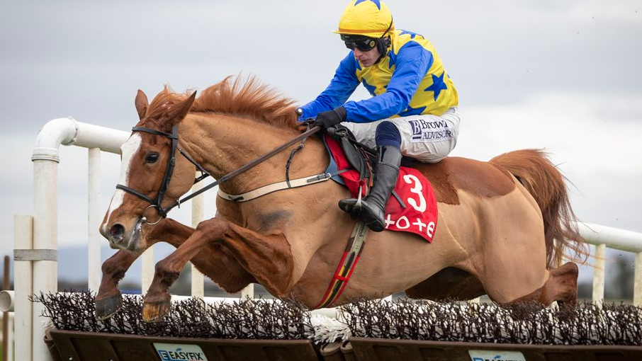 Patrick Mullins opens Supreme door for Bambino Fever