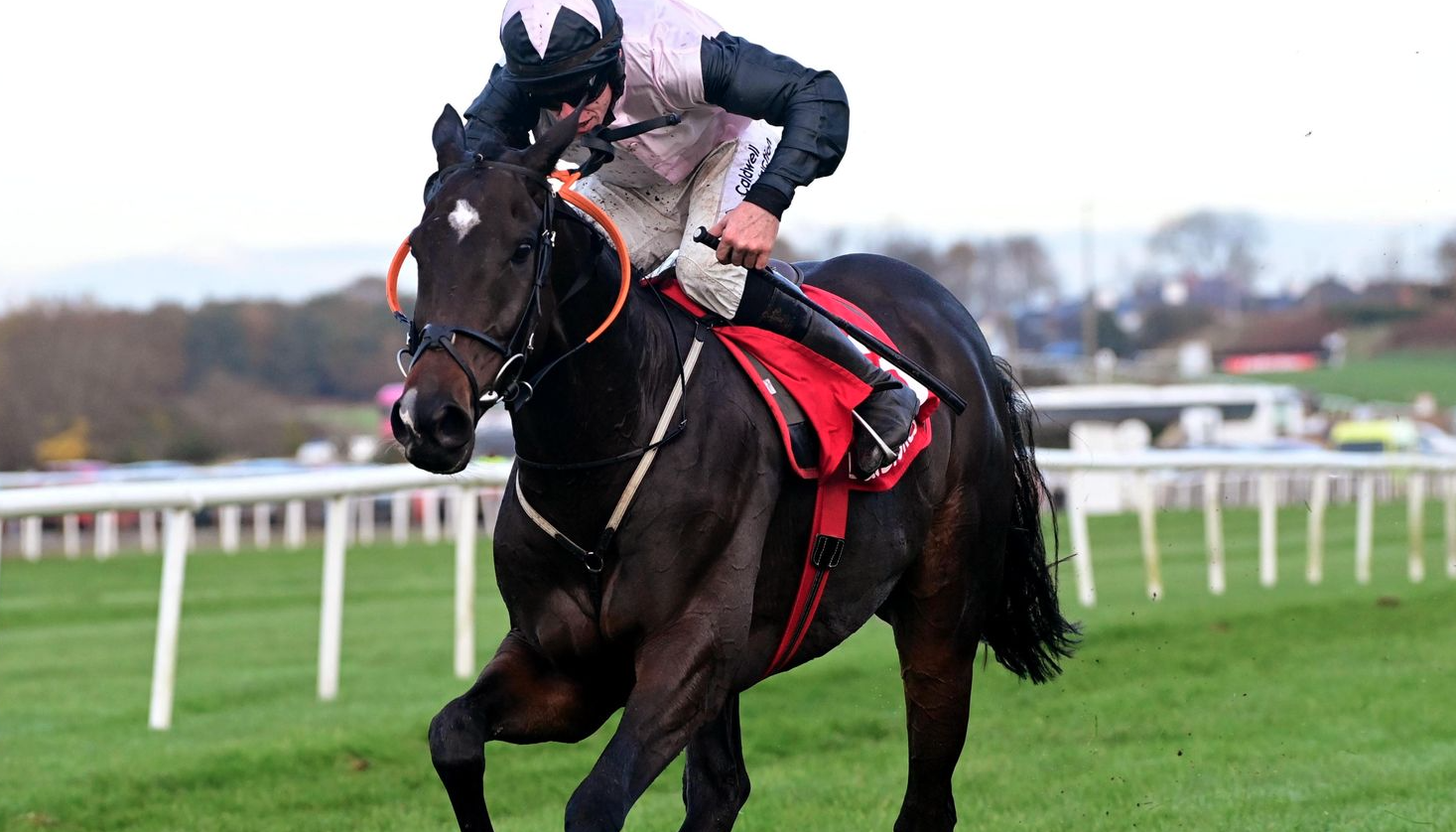 Gerri Colombe could enjoy spin over hurdles as National prep